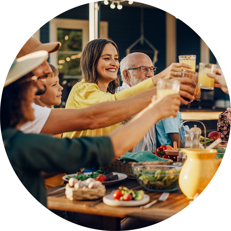 VNET Fiber - VNET Fiber